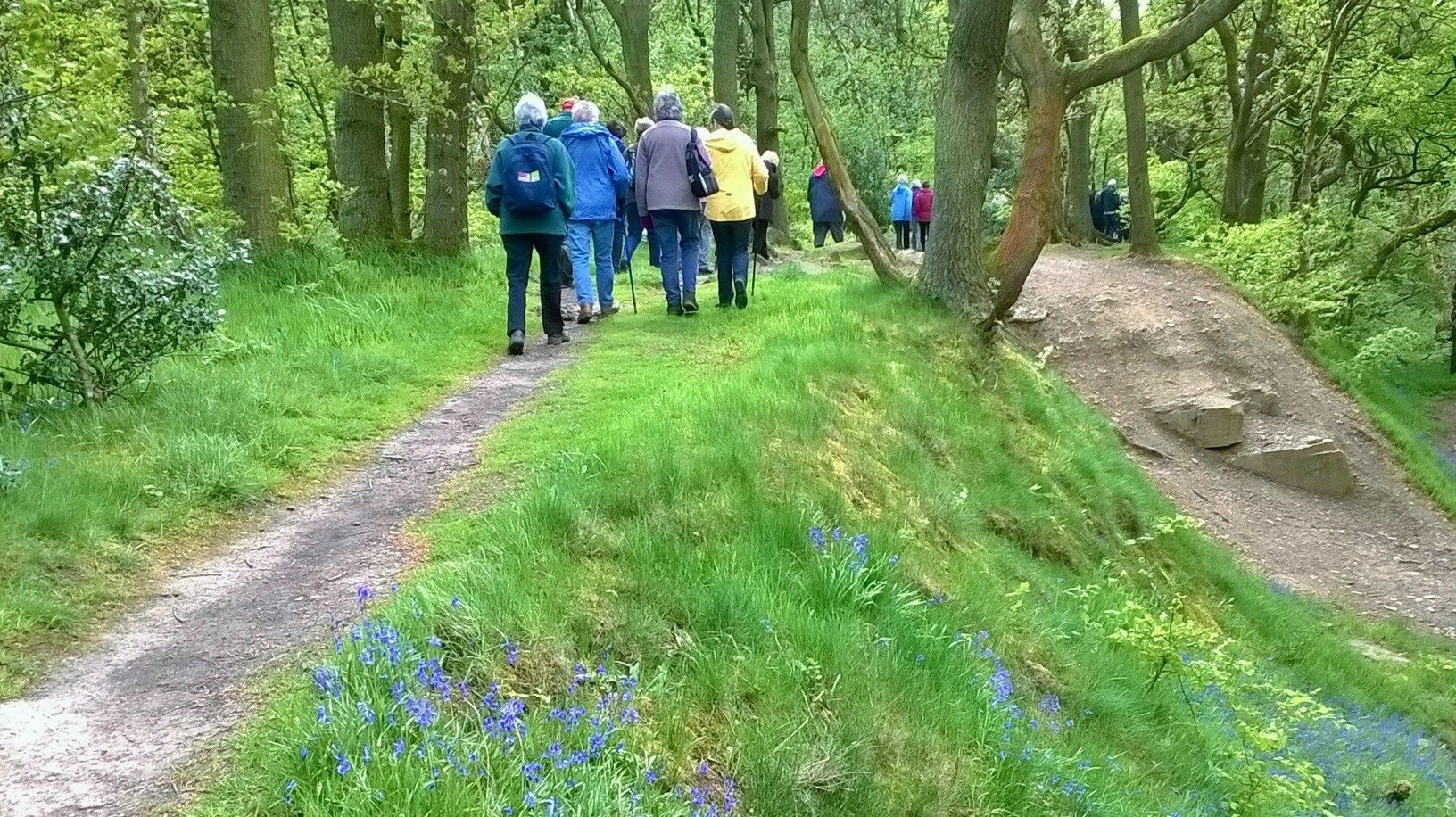 Step out from Grenoside for a walk in the woods.