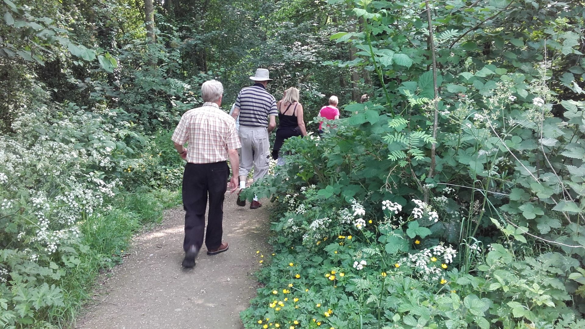 Step out around Owlthorpe, Hackenthorpe and Ochre Dyke.