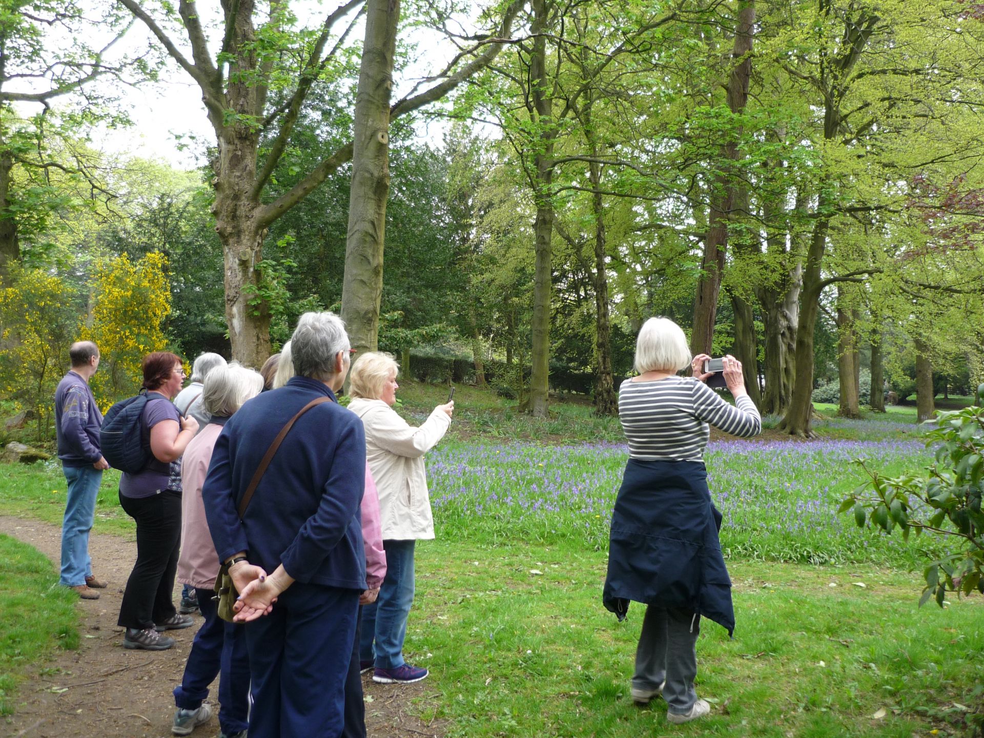 Step out on the beautiful Wortley estate with the Stocksbridge walkers