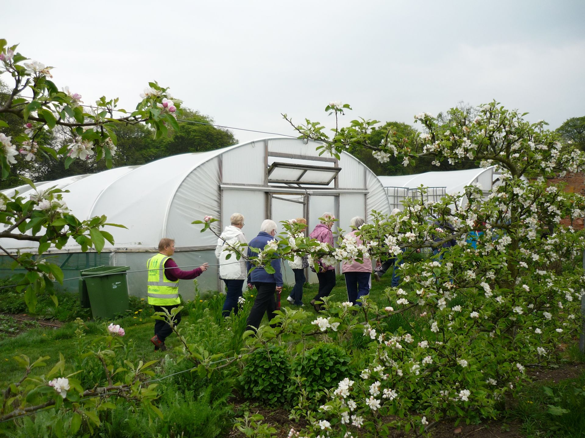 Step out on the beautiful Wortley estate with the Stocksbridge walkers