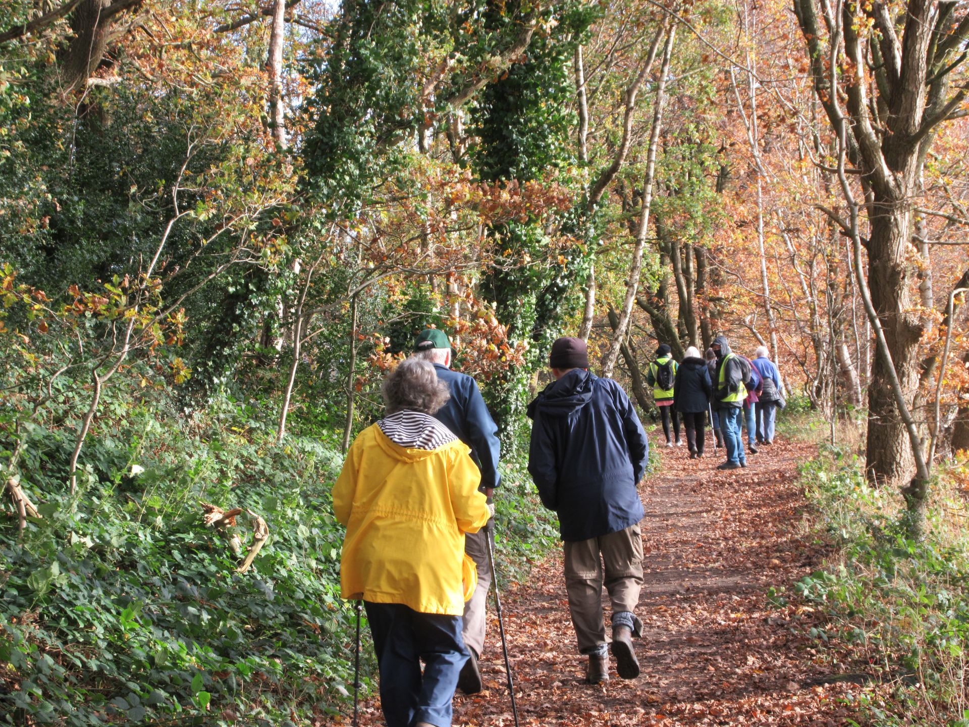 Step out from Wisewood Sports Centre to Wadsley Common