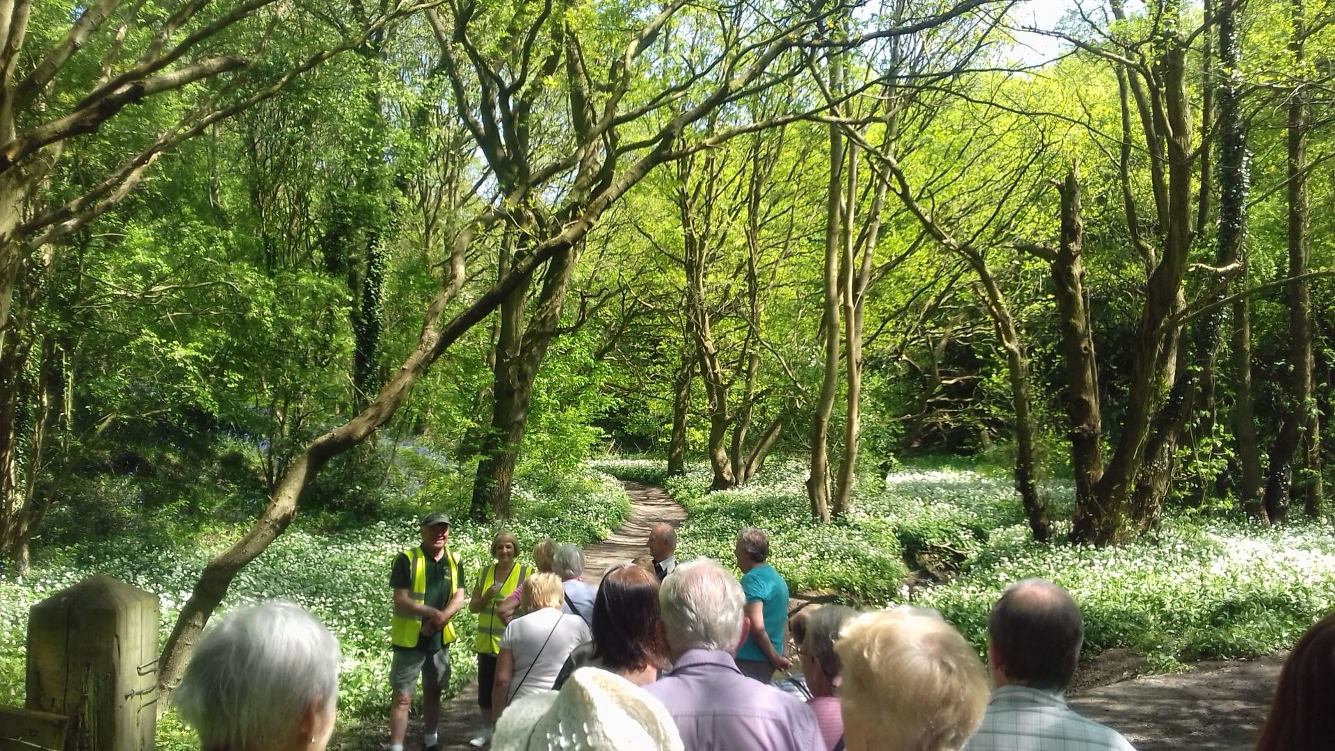 Step out in Handsworth's green-spaces on one of a choice of short ...