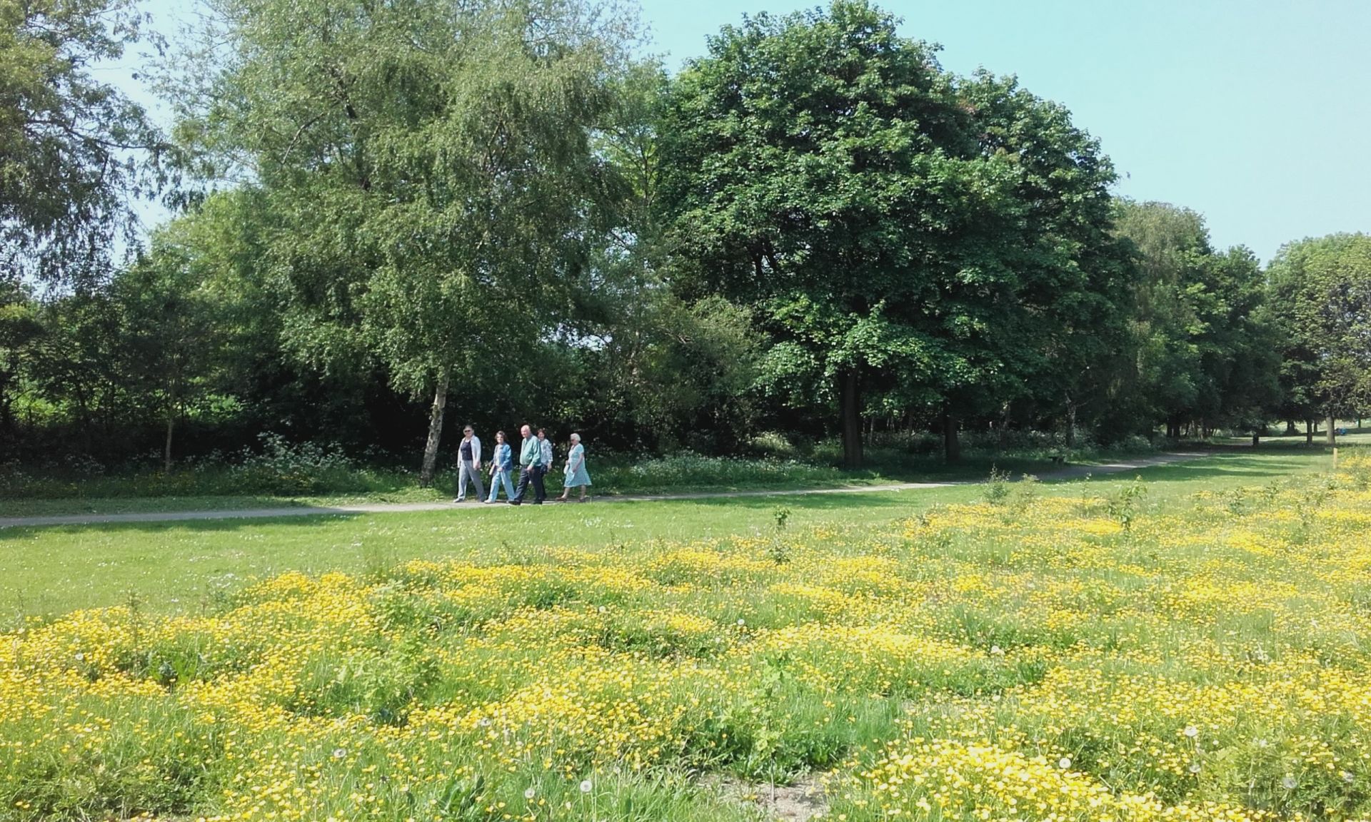 Step out around Greenhill Park, Lowedges.