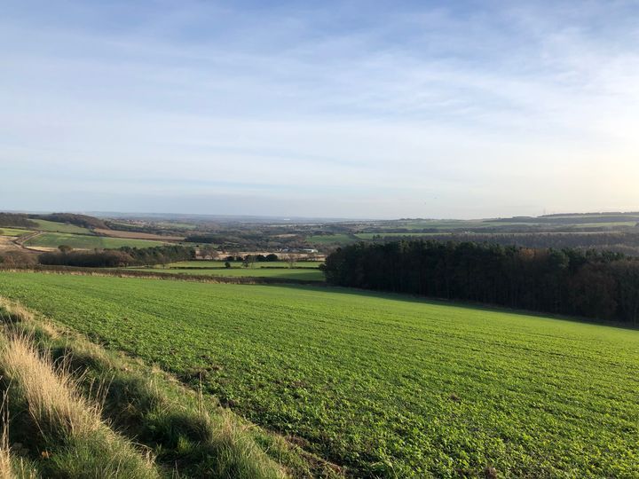 Ushaw Moor Wellbeing Walk