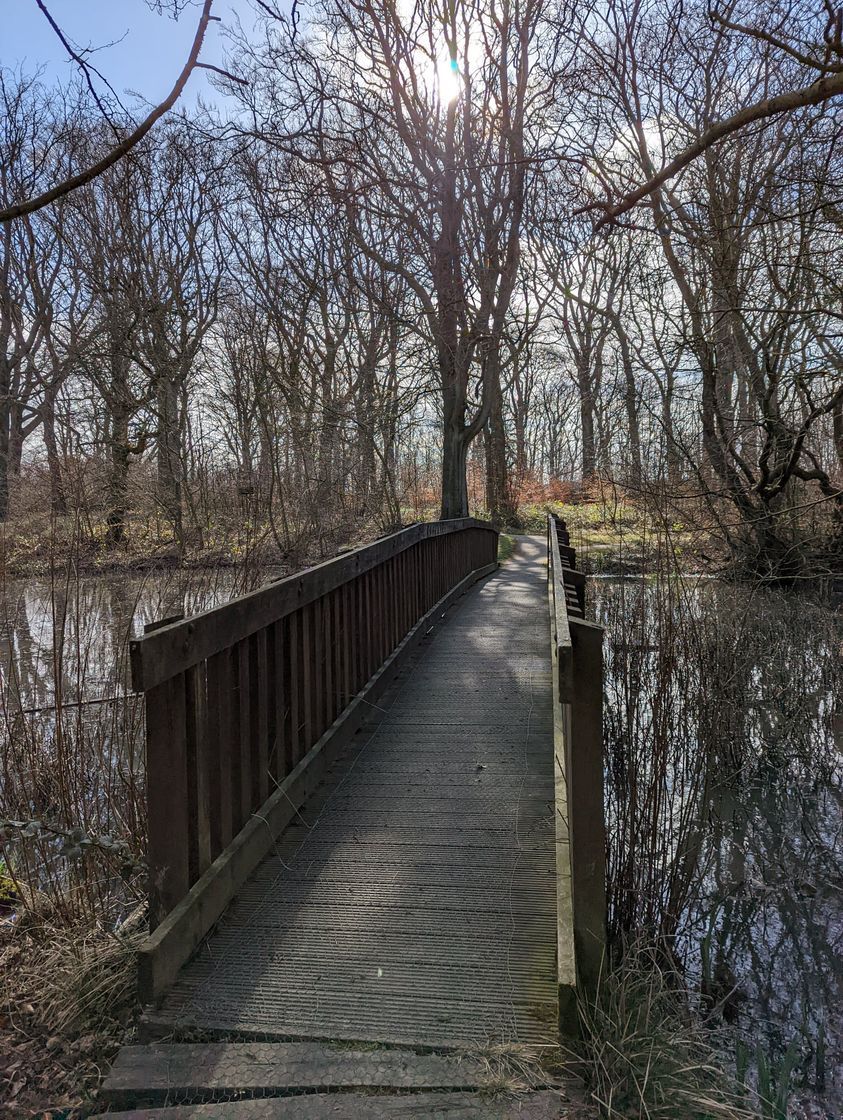 Wingate Wellbeing walk