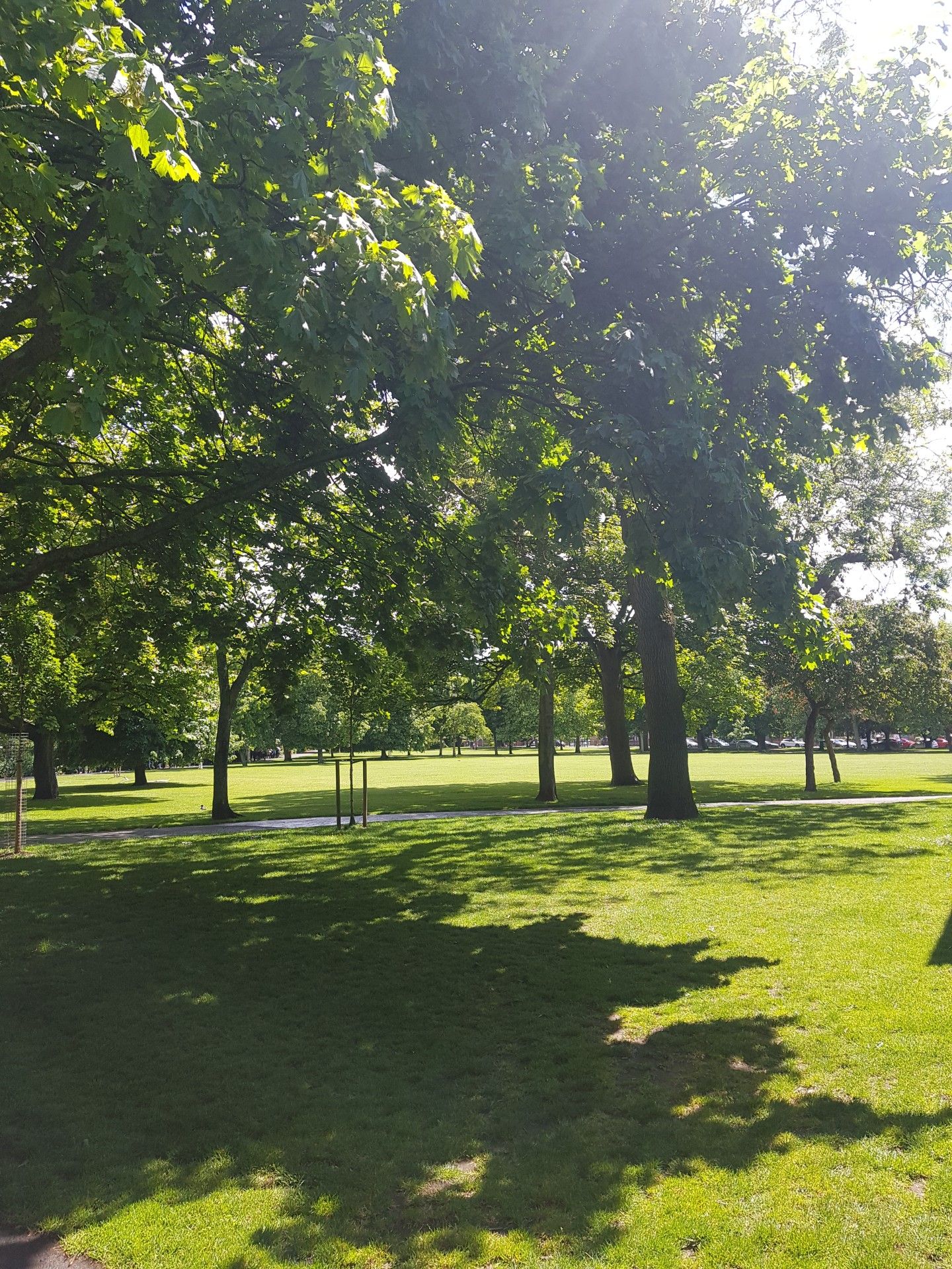 Park to Park Walk - Beginners