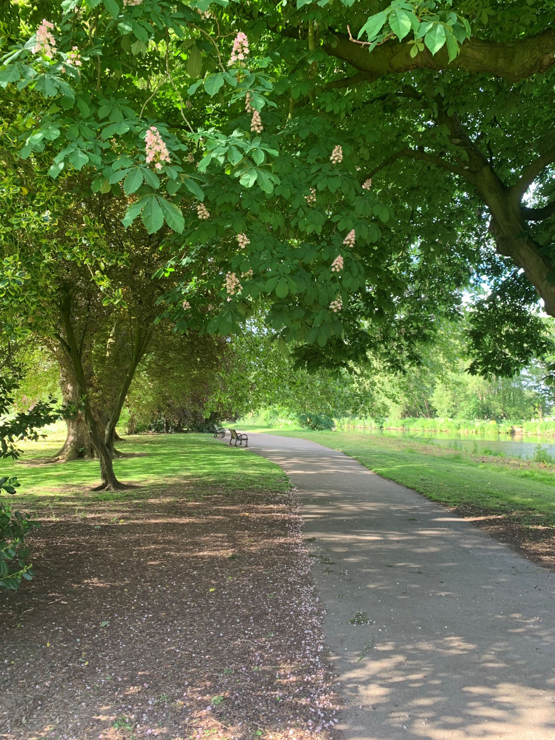Stapenhill Hollows Evening Walk