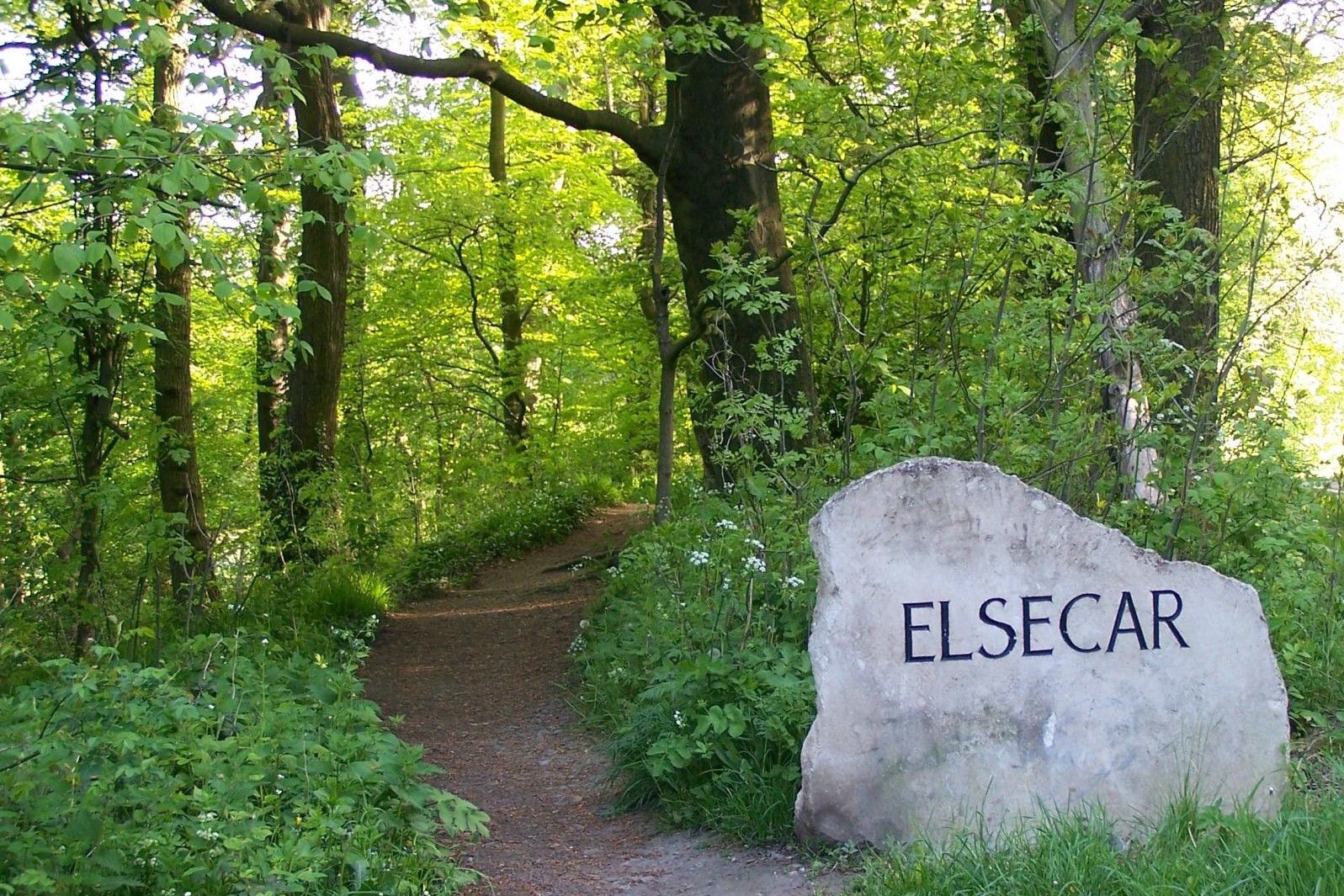 Elsecar Park Wellbeing Walk