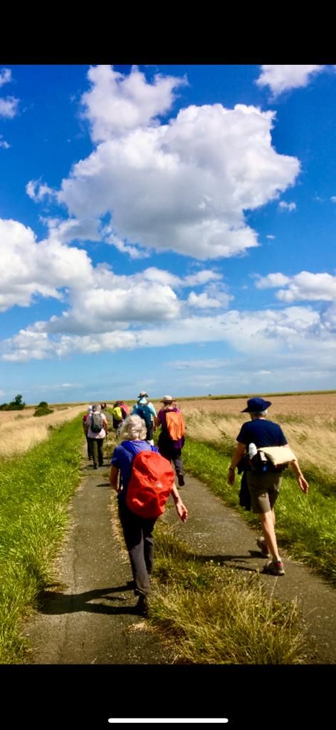 Felsted Brisk Walk - Ramblers