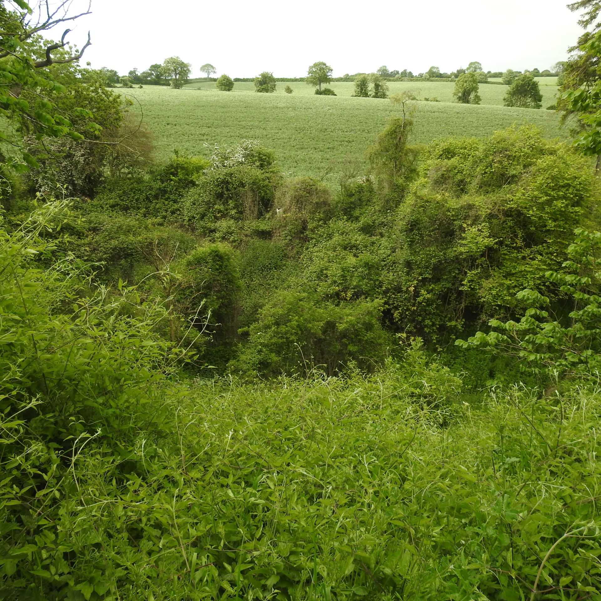 Devil's Ditch circular - Ramblers
