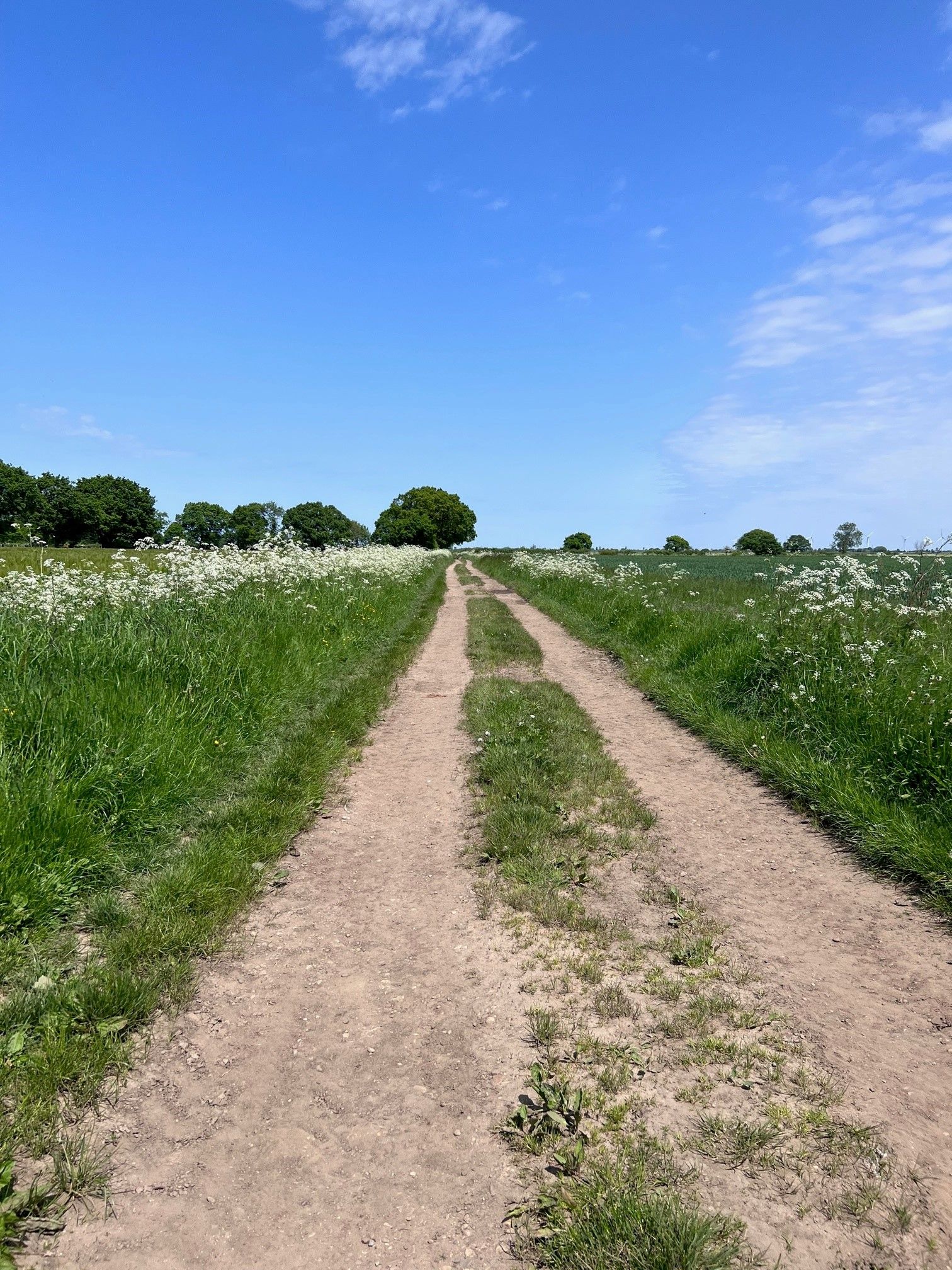 Hatfield Woodhouse Walkers - Lisa's Walk