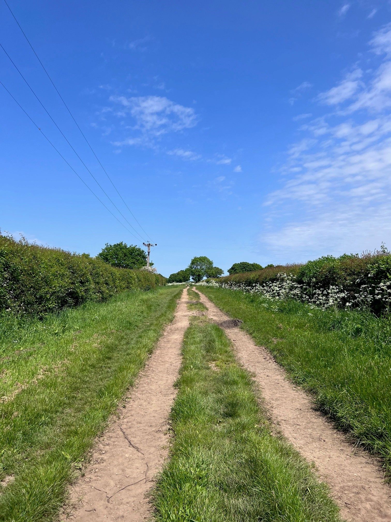 Hatfield Woodhouse Walkers - Lisa's Walk