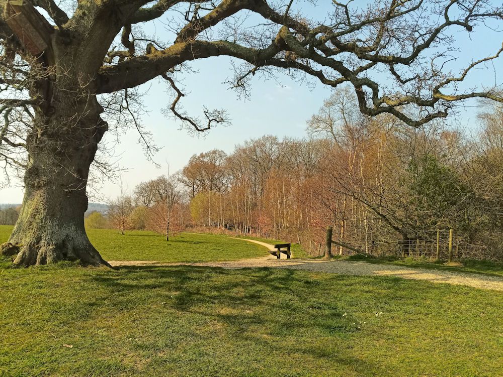 Thursday 15 June 2023 - KNOWLE HILL, FAIR OAK - Ramblers