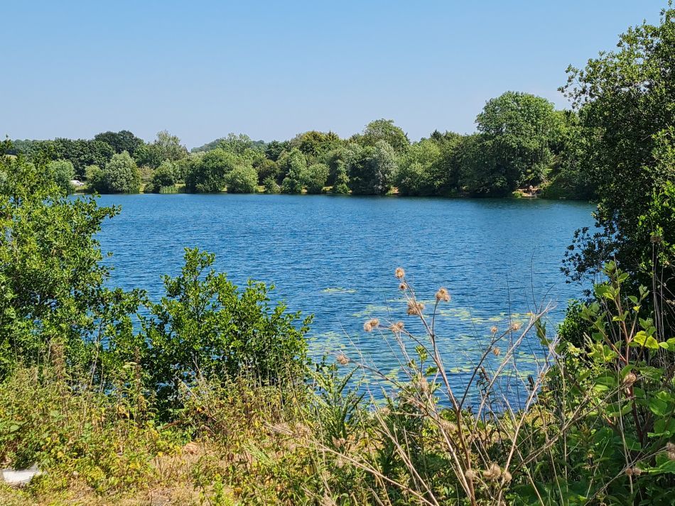 Weybread Area - Ramblers