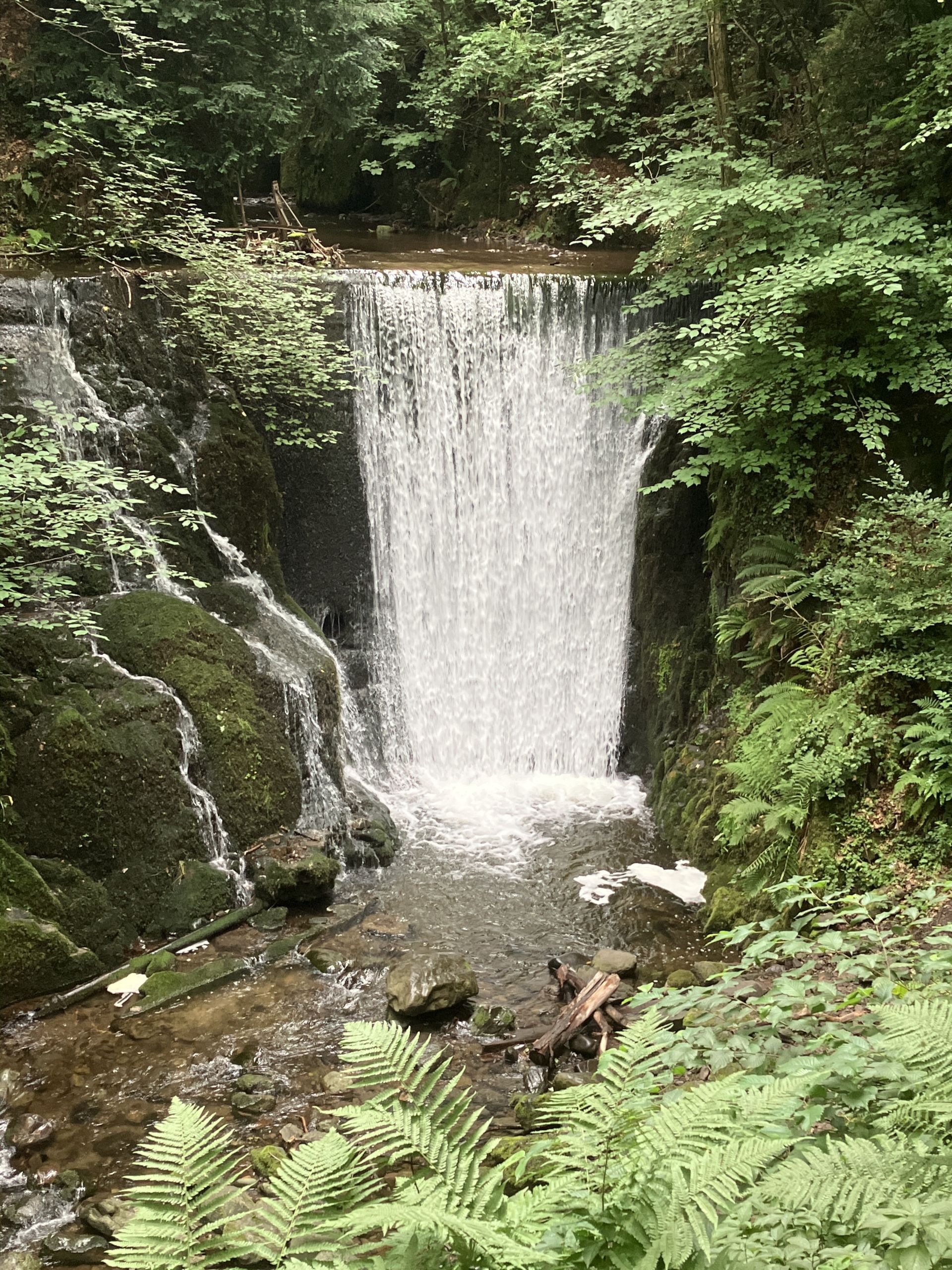 Alva Glen and The Nebit - Ramblers
