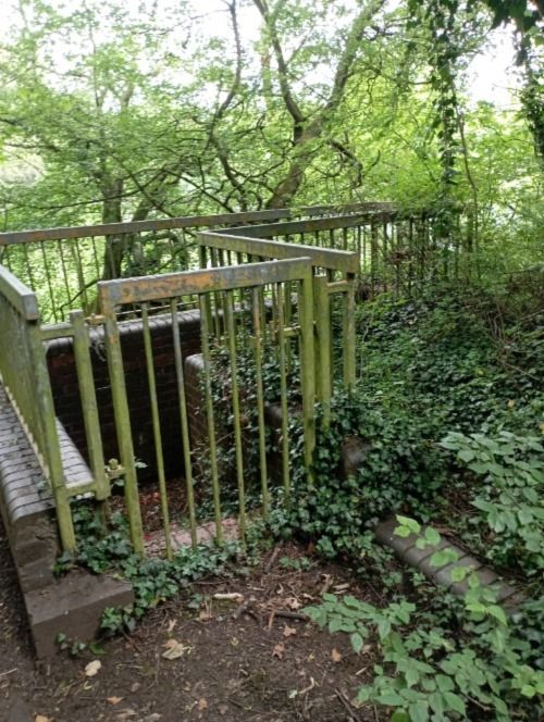 History of Sandwell Valley with Margery - Ramblers