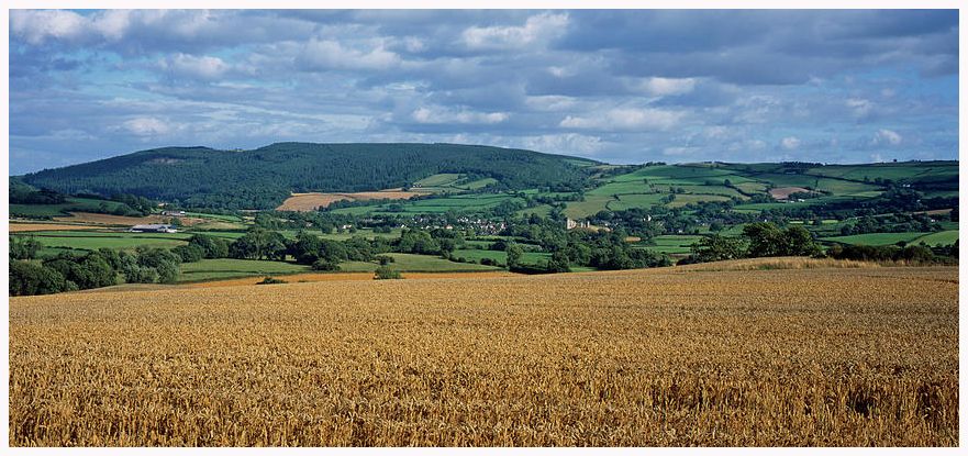 Clun - a Shropshire Way Festival Walk - Ramblers