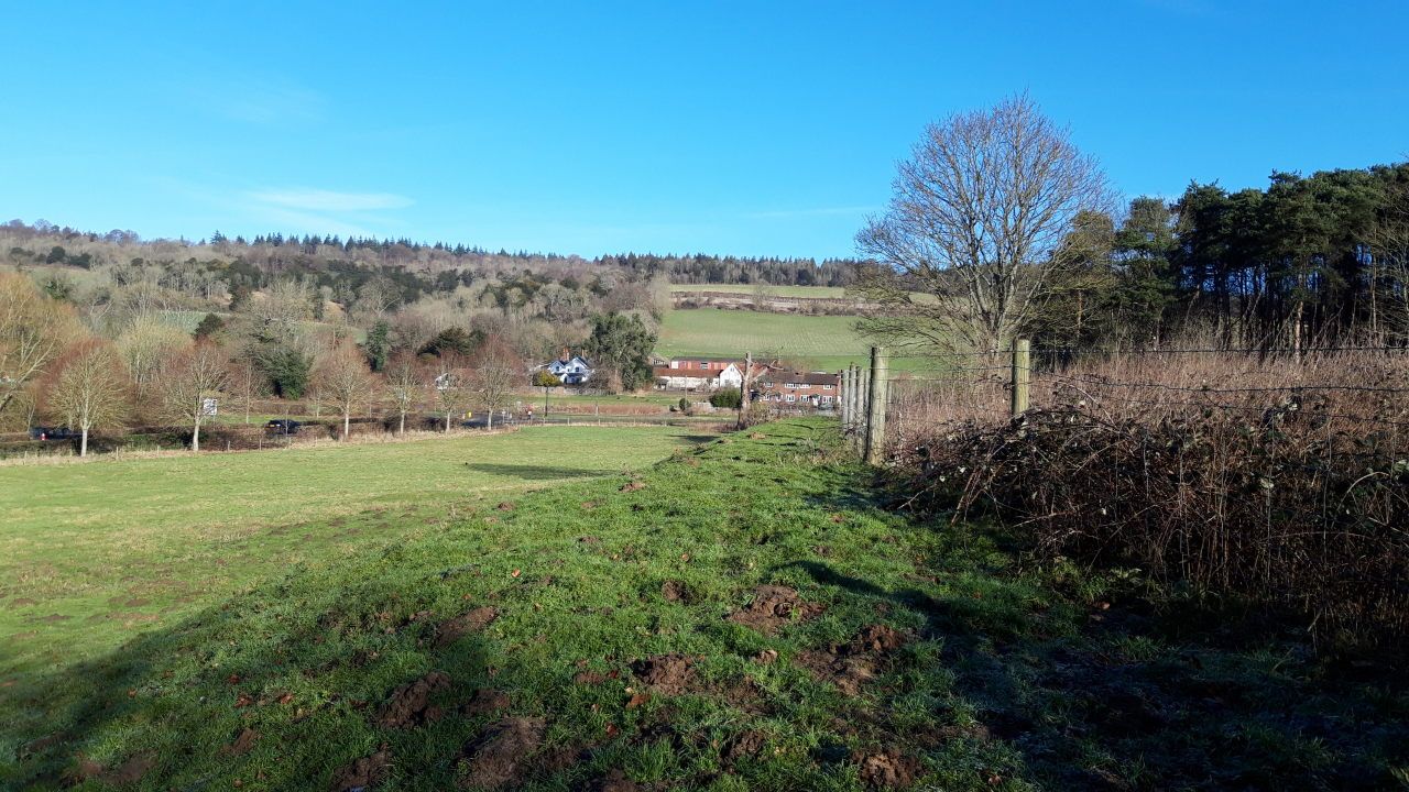 Newlands Corner and Merrow Downs - Ramblers
