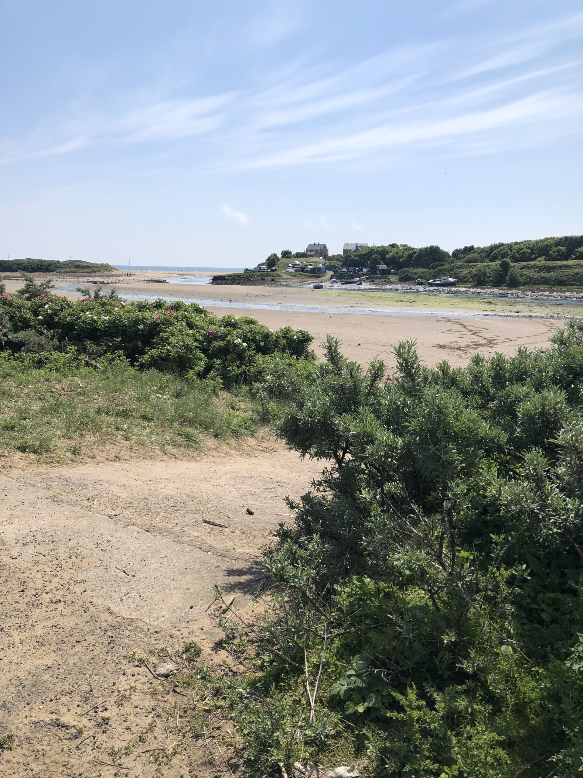 Cambois River Wansbeck Estuary - Ramblers