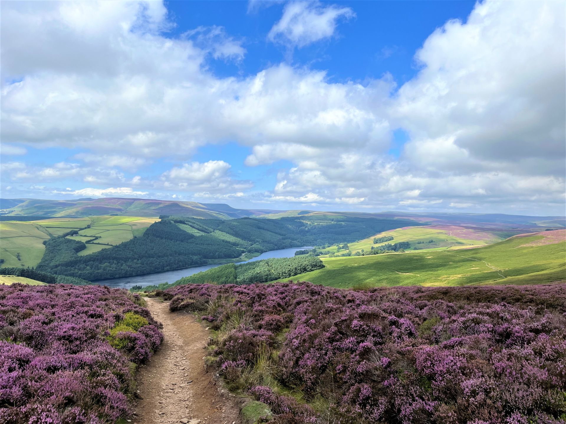 Derwent Edge - Thurs 14 Sept - Ramblers