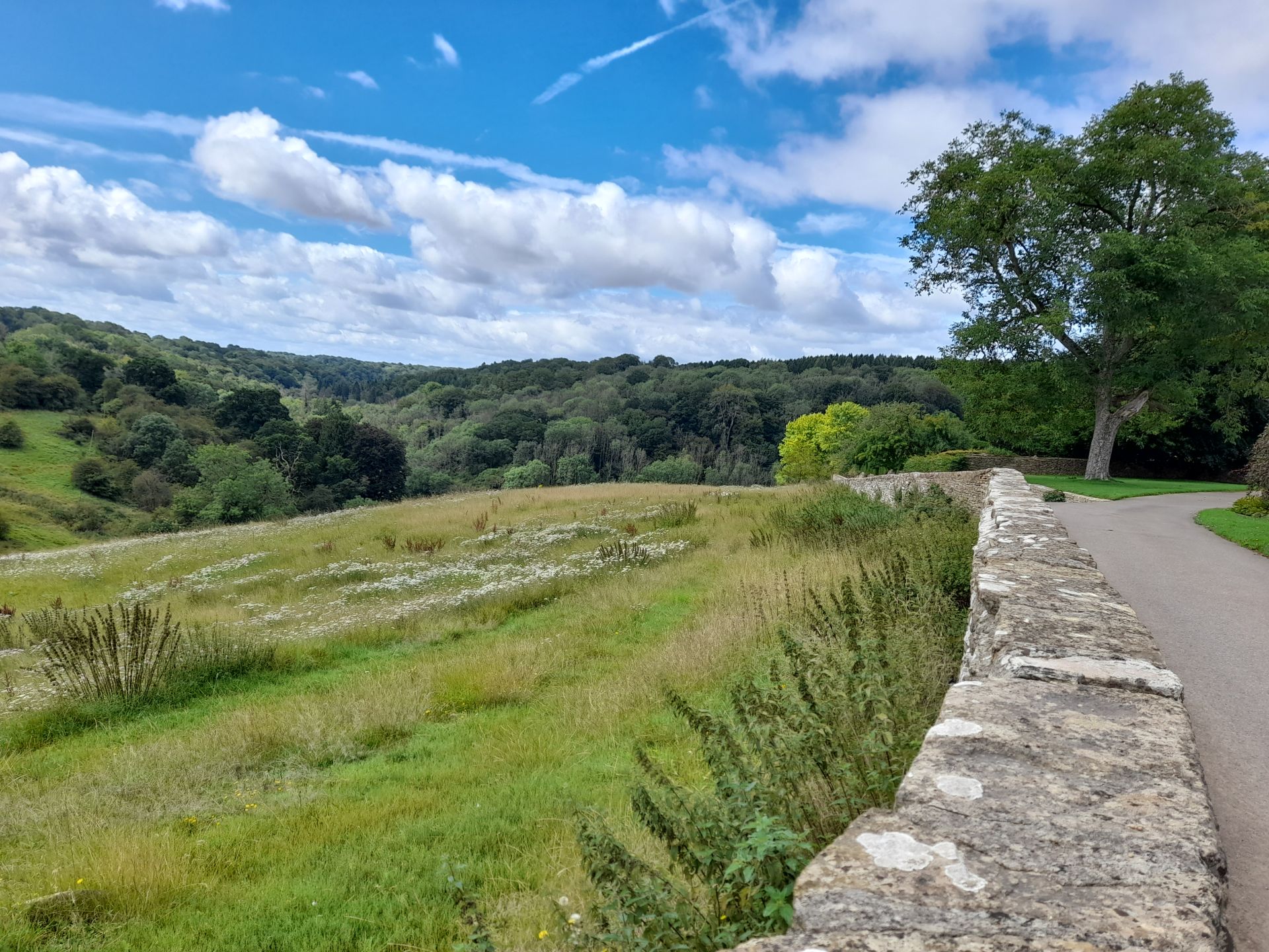 River Frome into Thames and Severn Canal - Ramblers