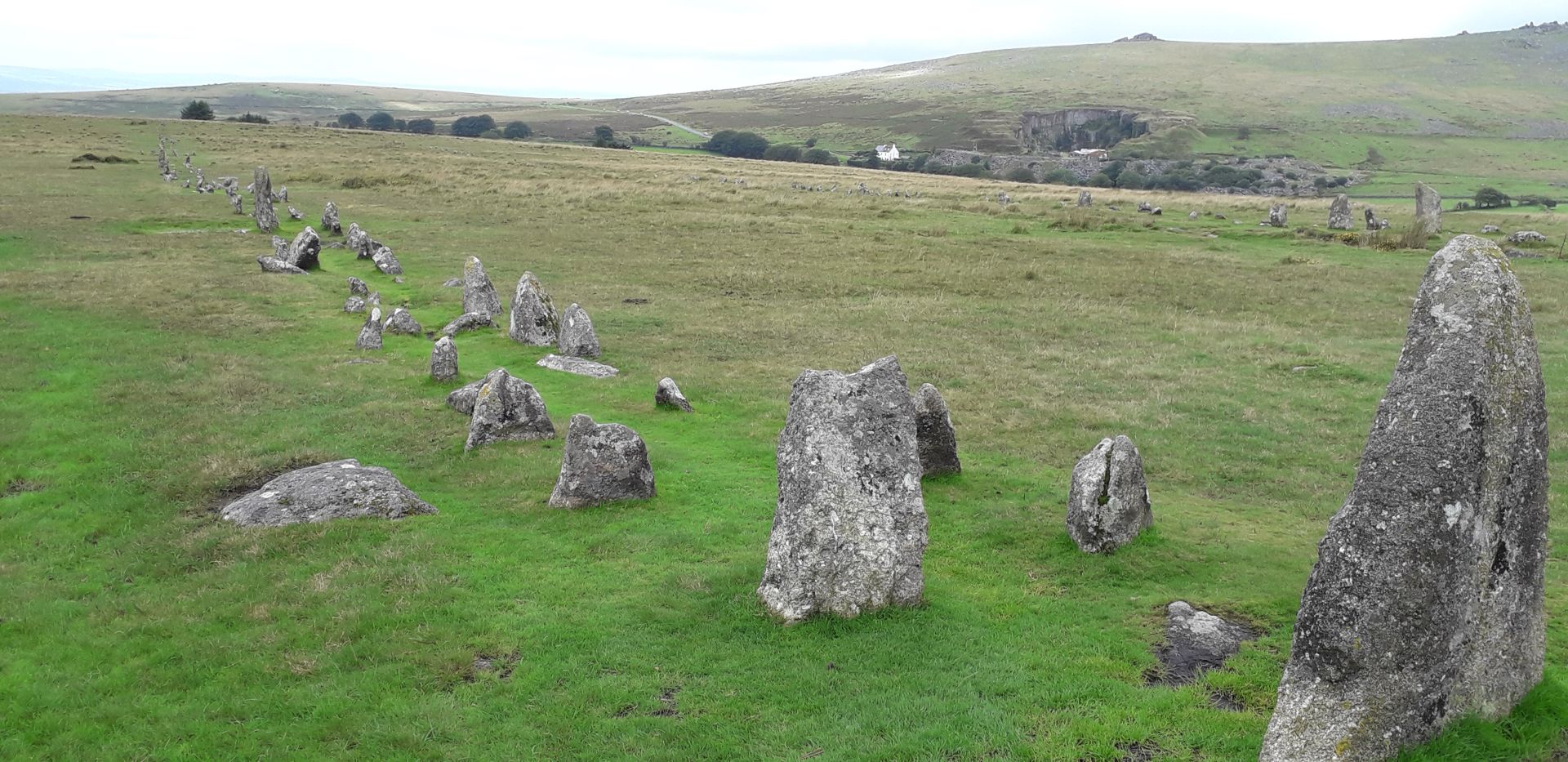 Great stone rows and Moorland views - Ramblers