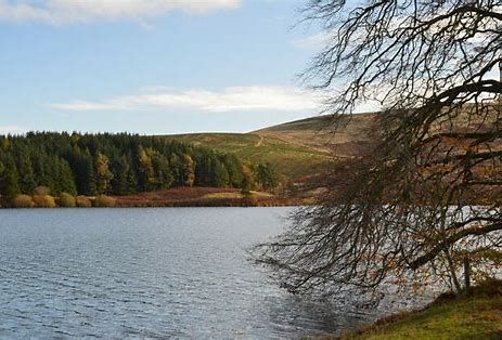 Portmore Reservoir Circular C Walk - Ramblers