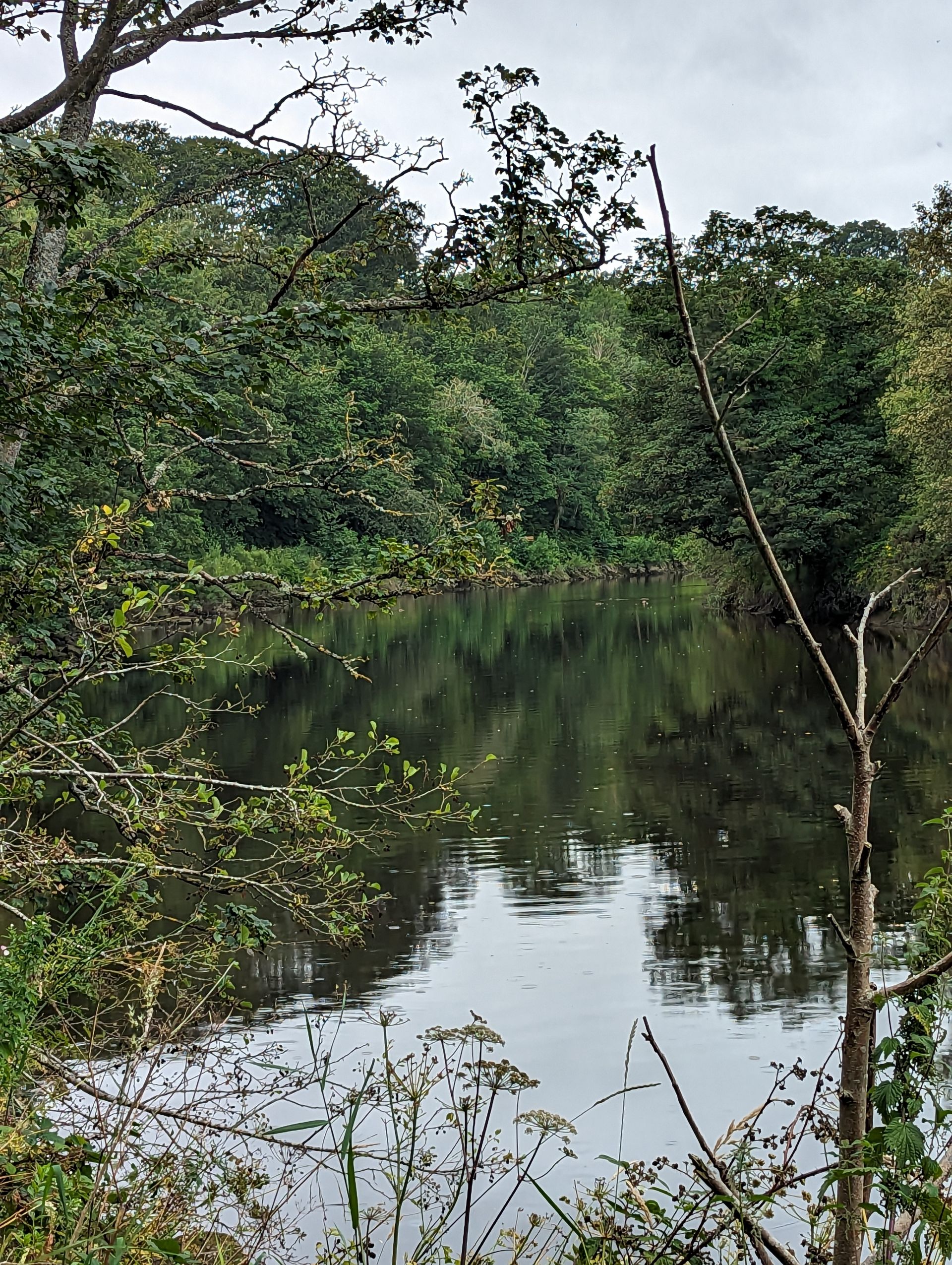 Amble-Warkworth - Ramblers