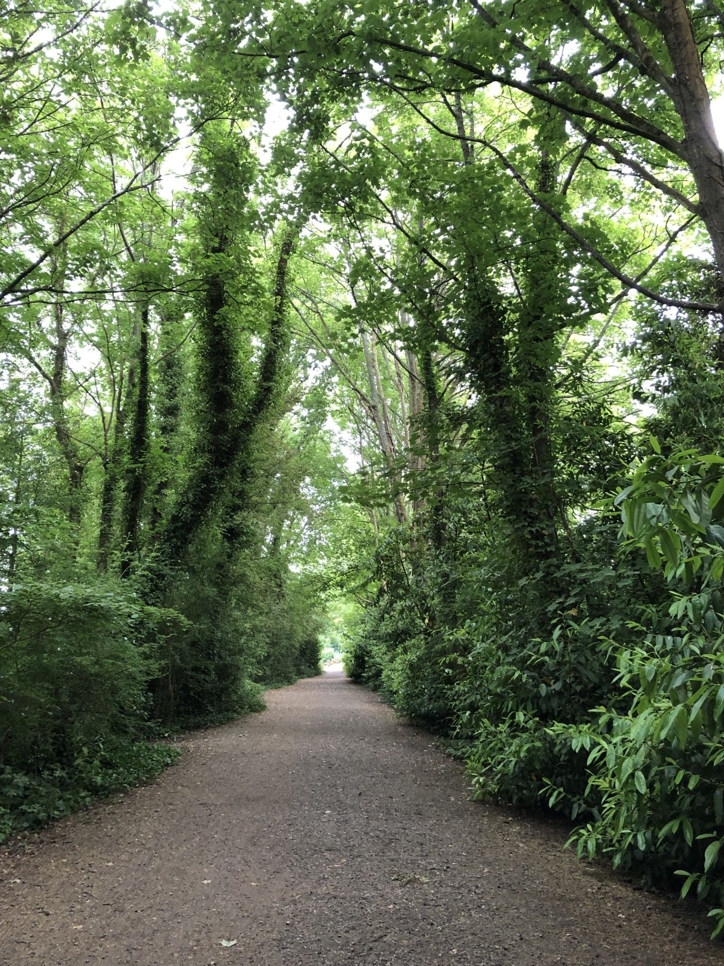 Wickham - Ramblers