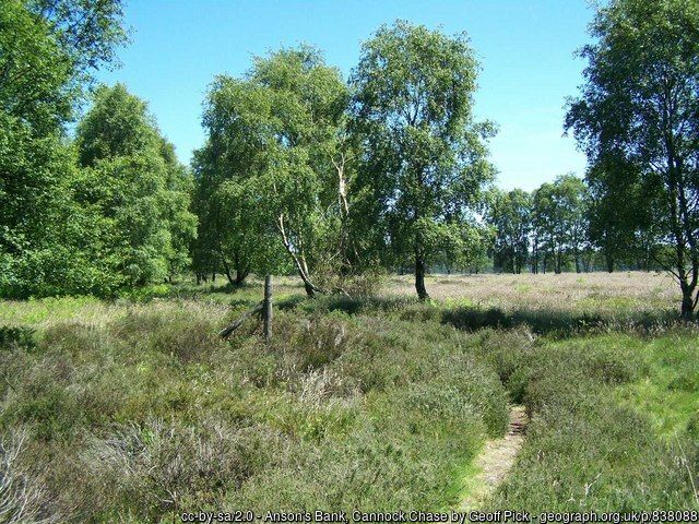 Cannock Chase Circular - Ramblers