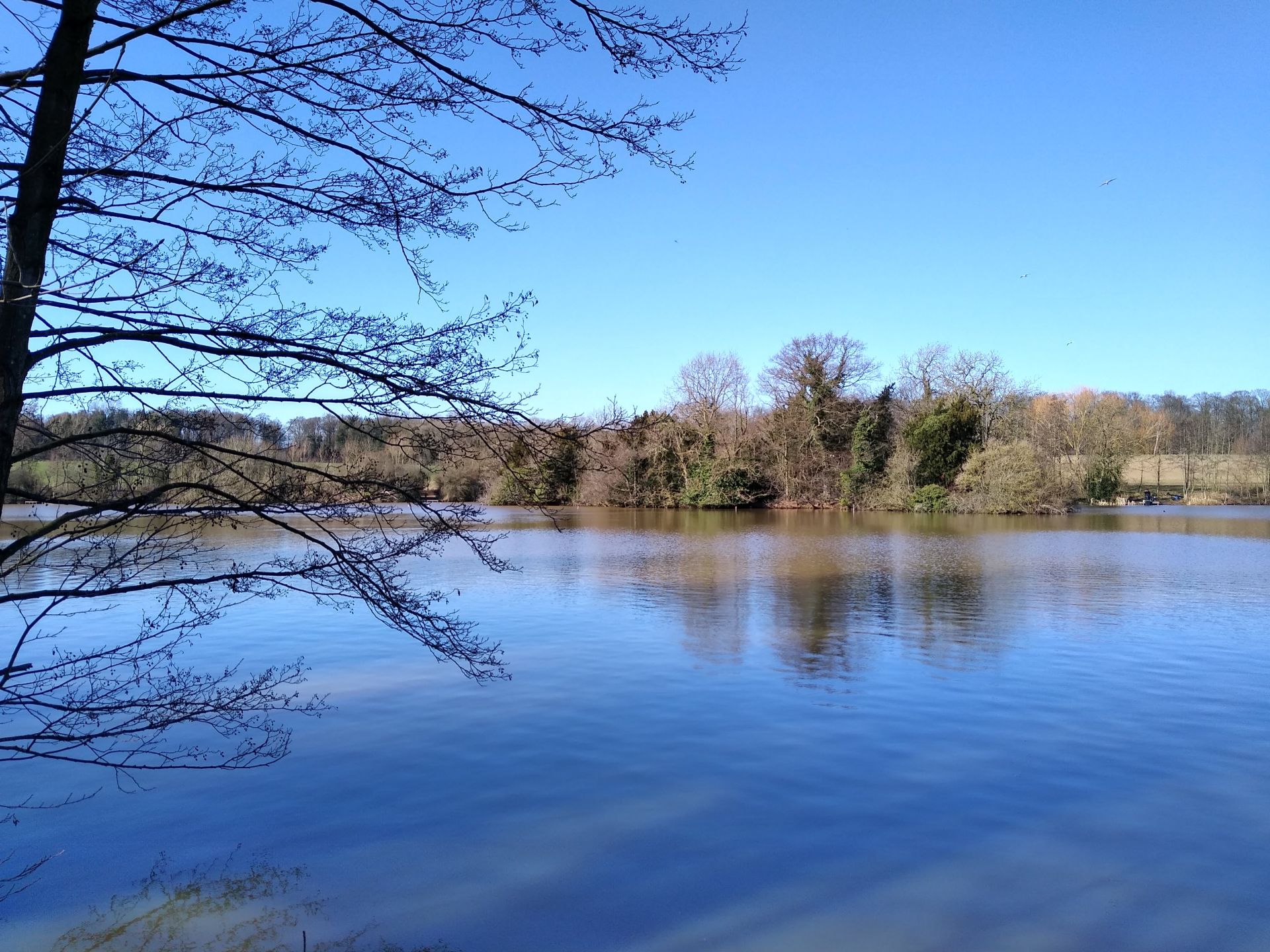 Langold, Blyth and Hodsock - Ramblers