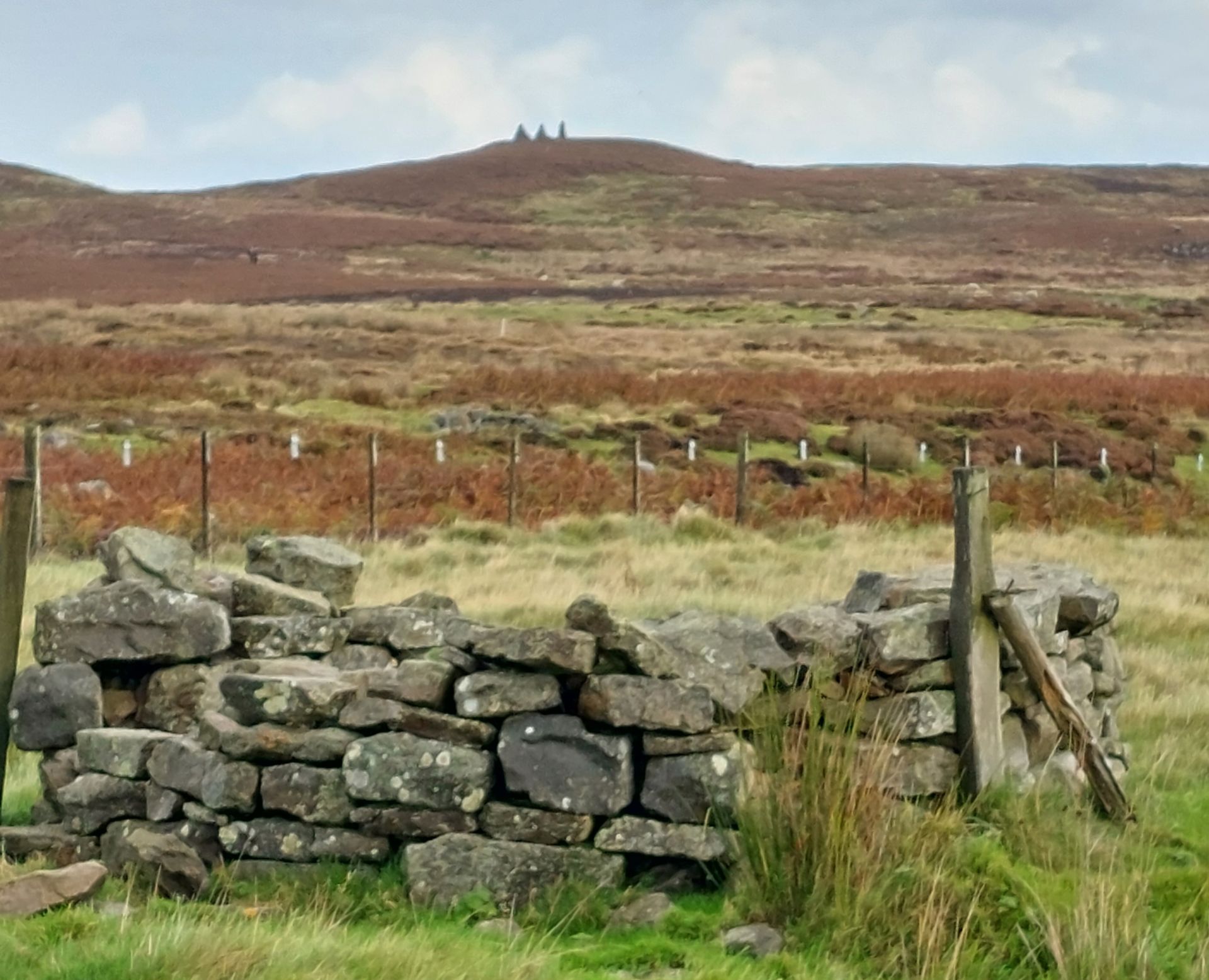 Eerie Edmundbyers - Ramblers