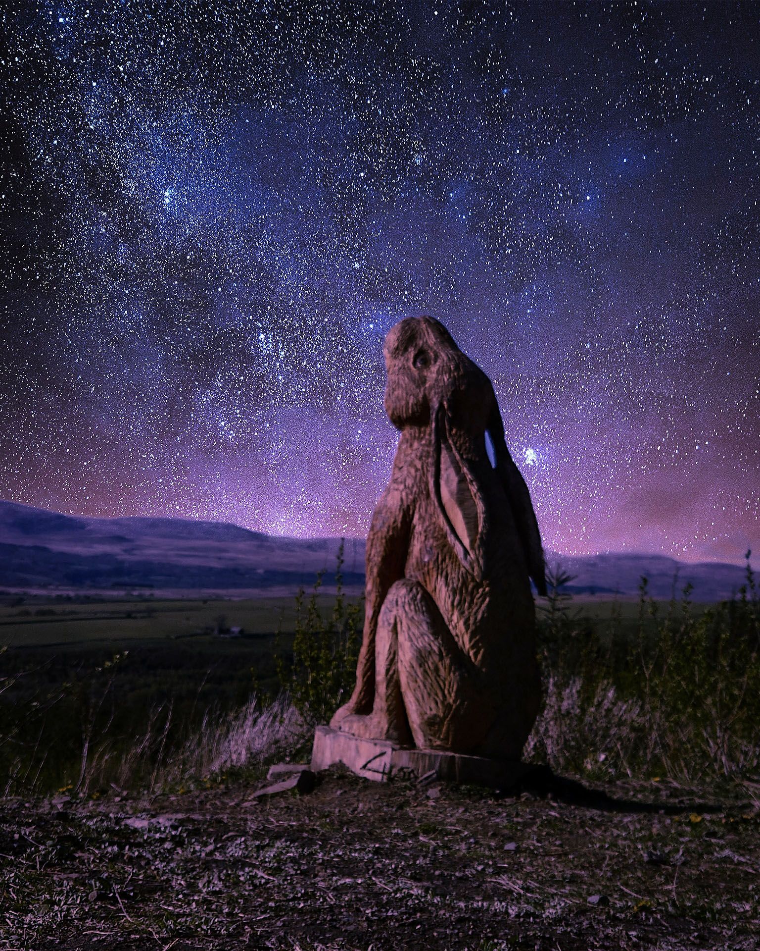 The Stargazing Hare - Ramblers