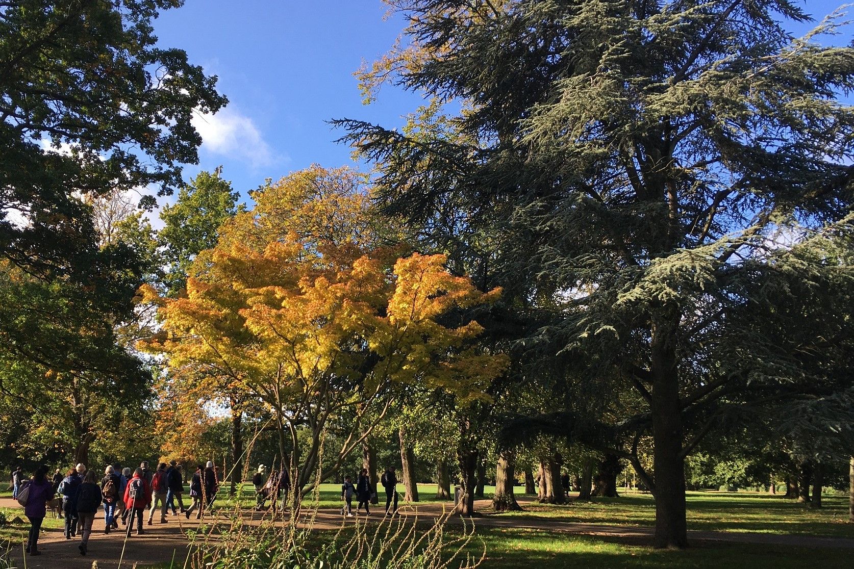 Hanwell Station to Ealing Broadway through 5 parks - Ramblers