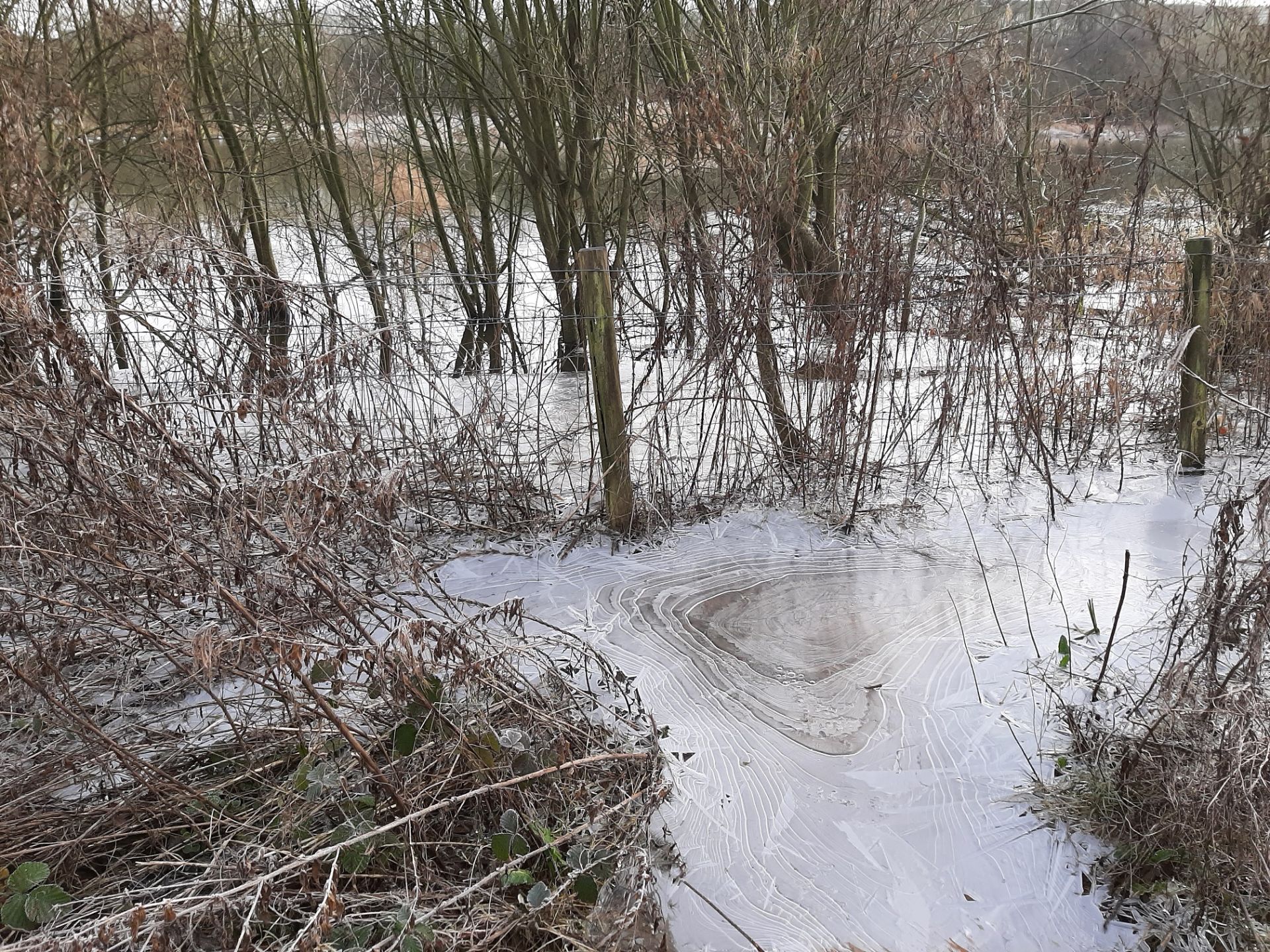 Merstham Moors & Marshes