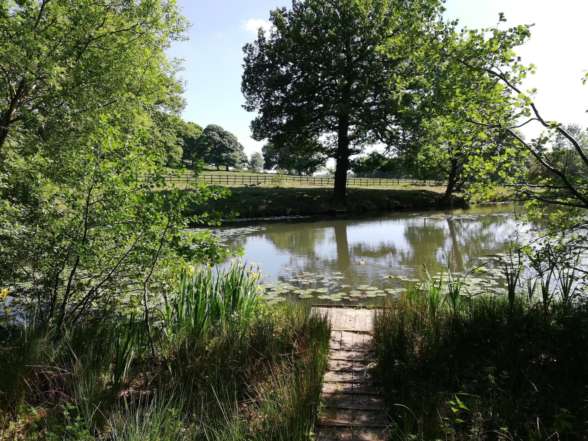 Hardwick Area - Ramblers