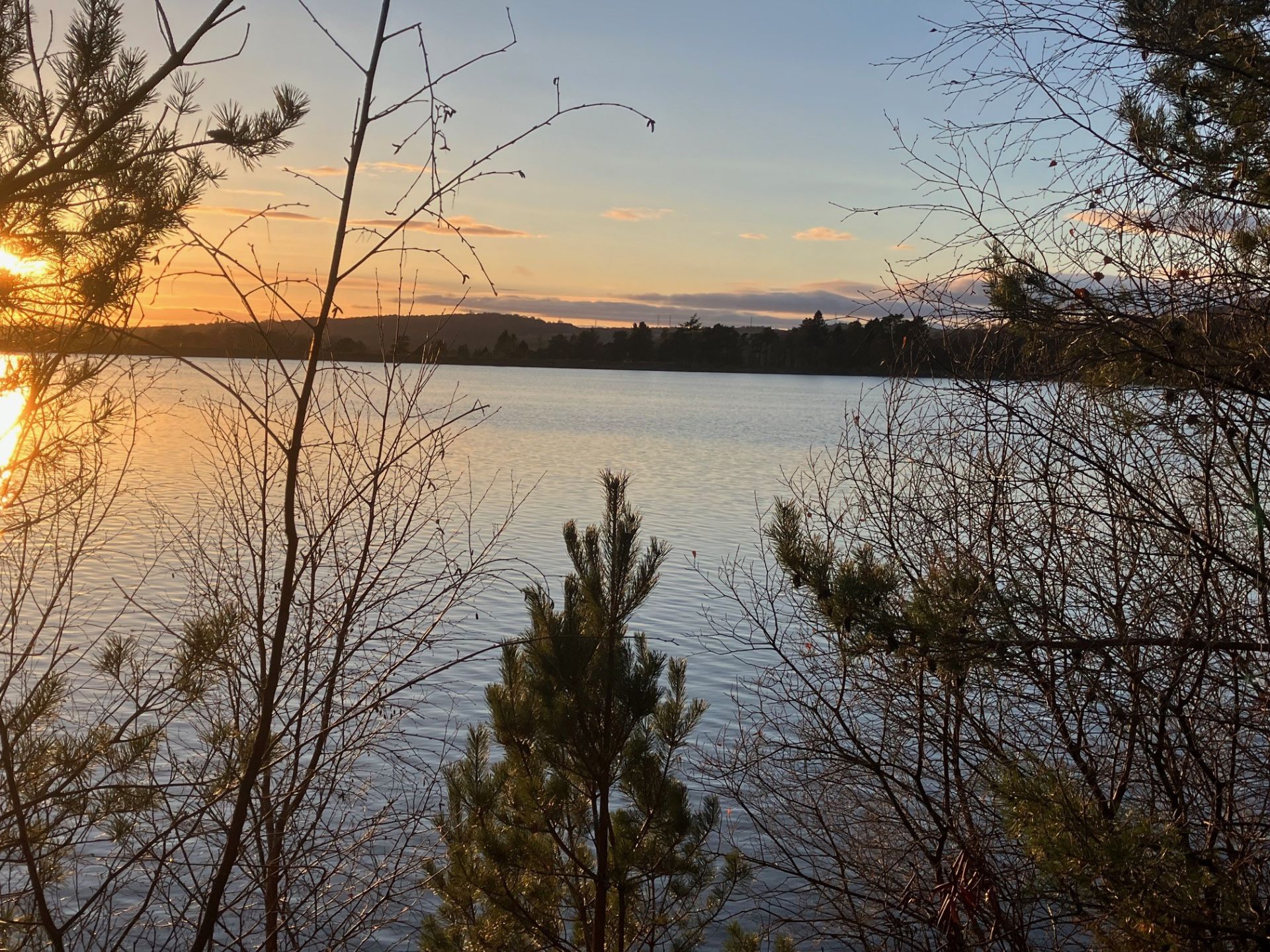 Milngavie Reservoirs and Mugdock - Ramblers