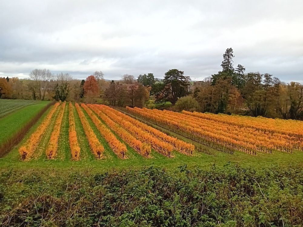 Tenbury Tour - Ramblers