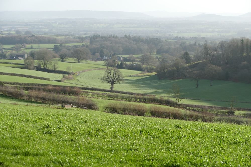 Titley Circuit - Ramblers