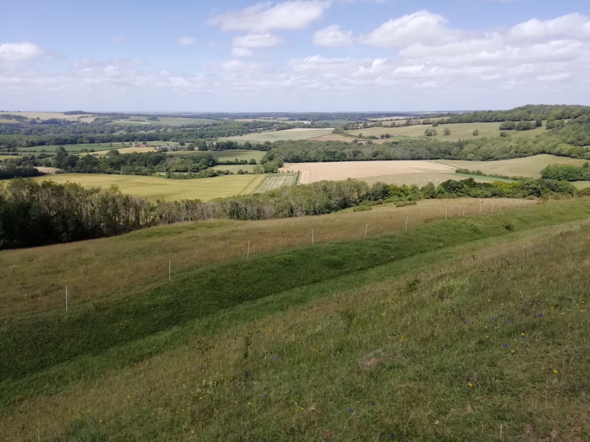 Cancelled. 11.7 mile. Scenic hill walking from West Meon - Ramblers