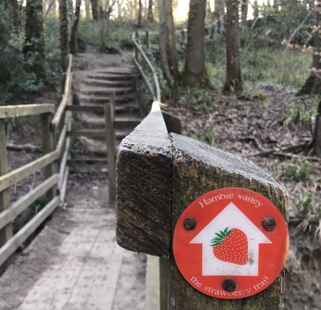 HAMBLE VALLEY STRAWBERRY TRAIL LEG 1 - Ramblers