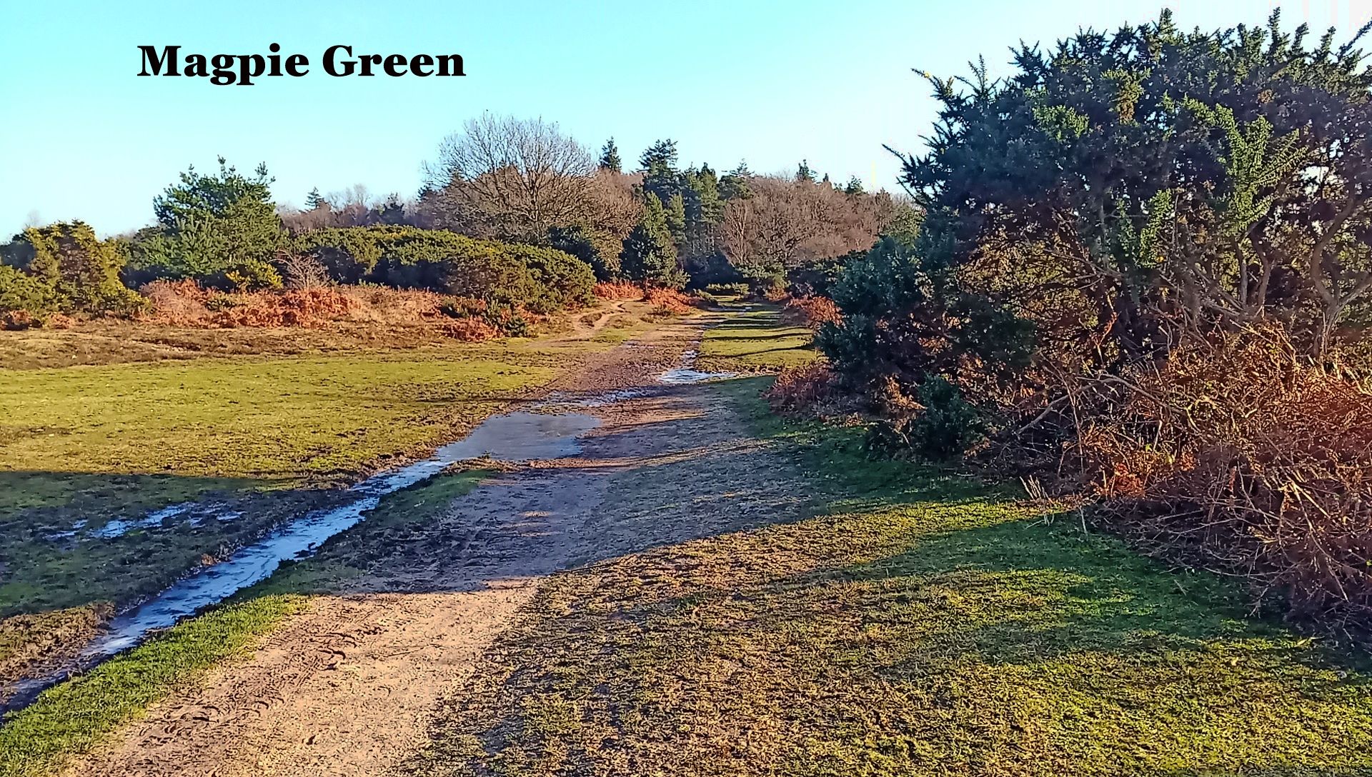 HOLMSLEY WALK CAR PARK, BRANSGORE - Ramblers