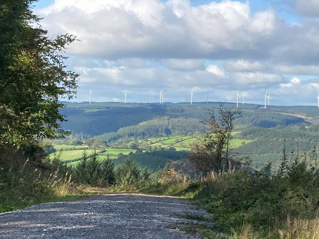 Wind and Water in Brechfa Forest - Ramblers