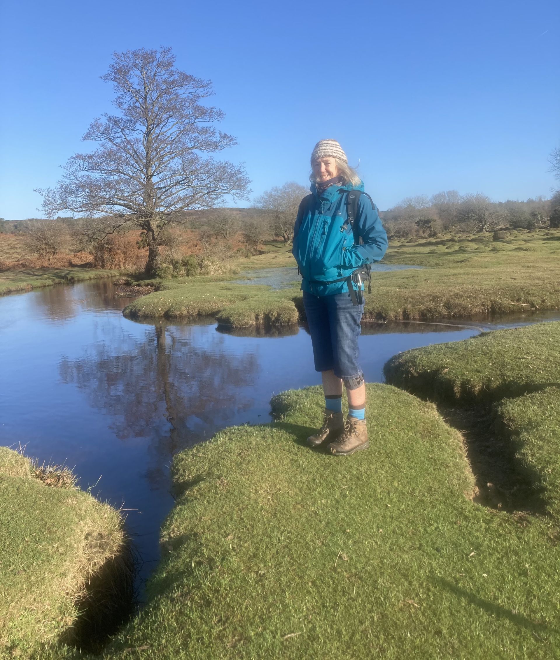 New Forest Bonanza! - Ramblers