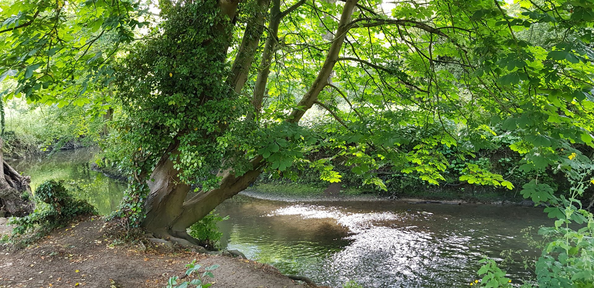 Hanwell Brent Lodge Park to Perivale via Paradise - Ramblers