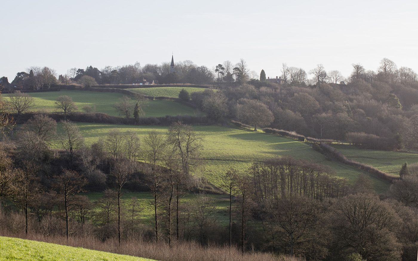 Hosey Common to Ide Hill - Ramblers