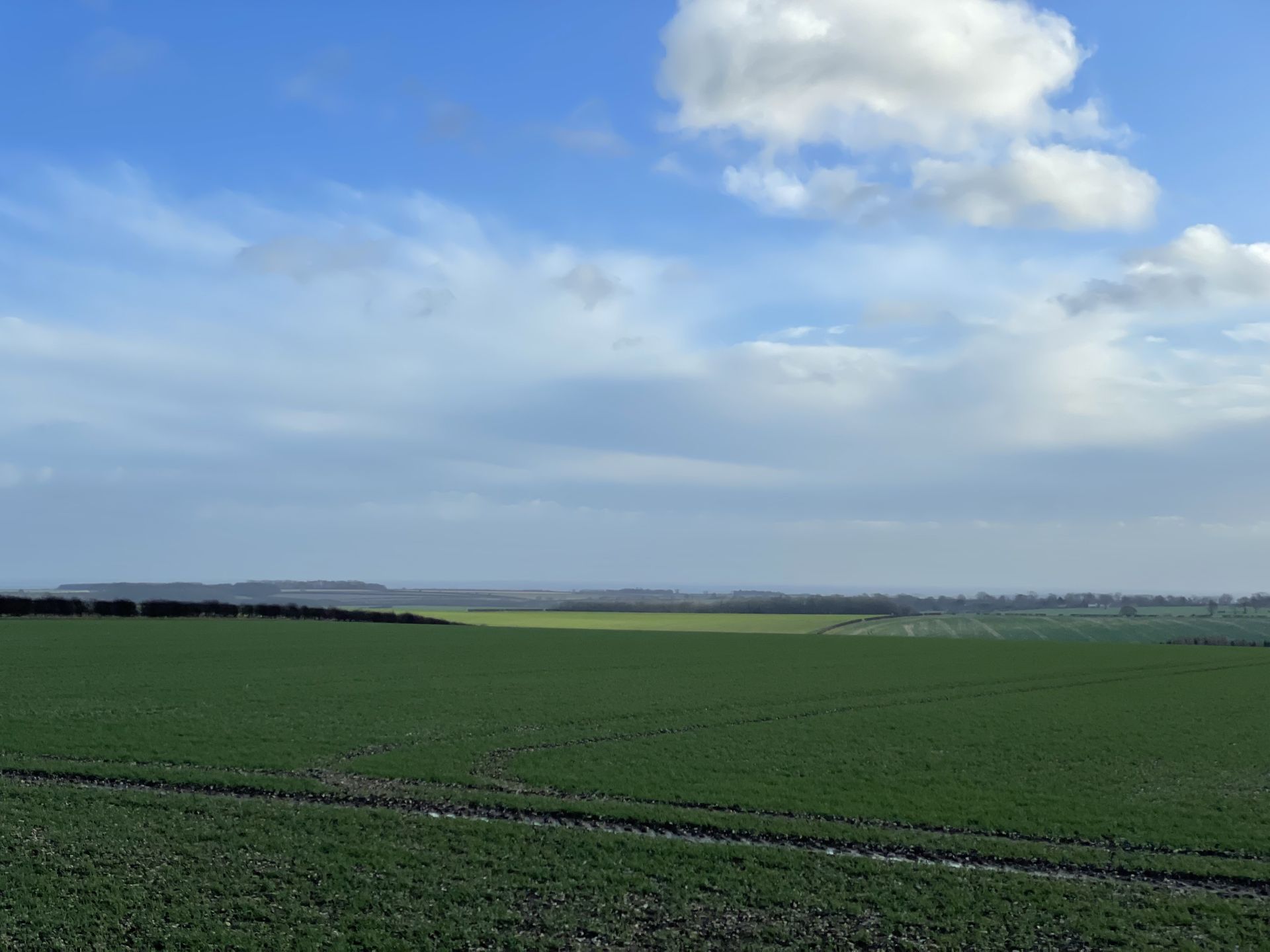 Huggate & Yorkshire Wolds loop - Ramblers