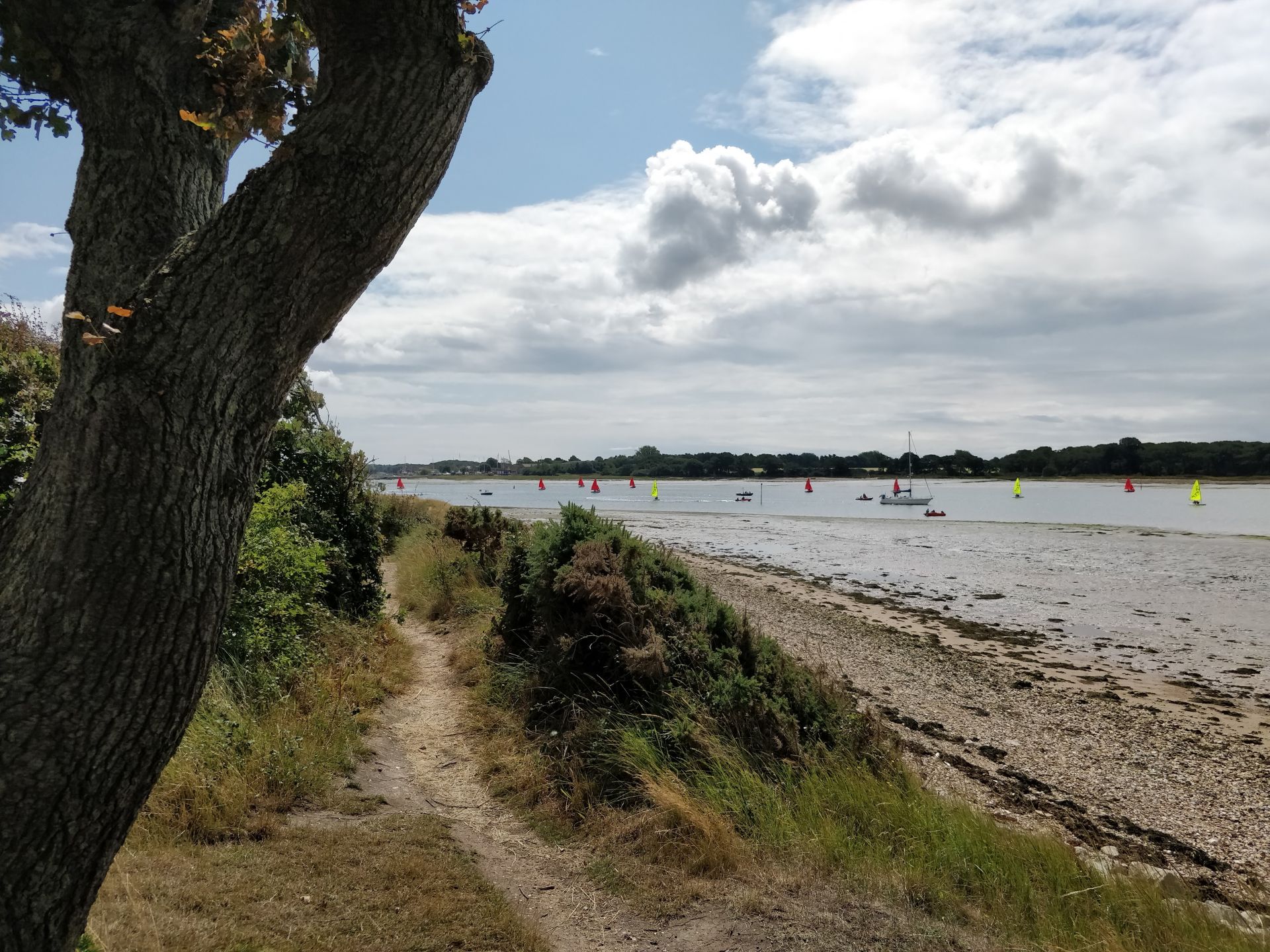 Harbour spectactular around Chidham, with optional pub lunch at the Old ...