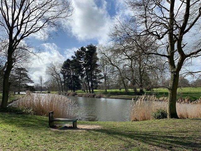 Langley Park - Ramblers