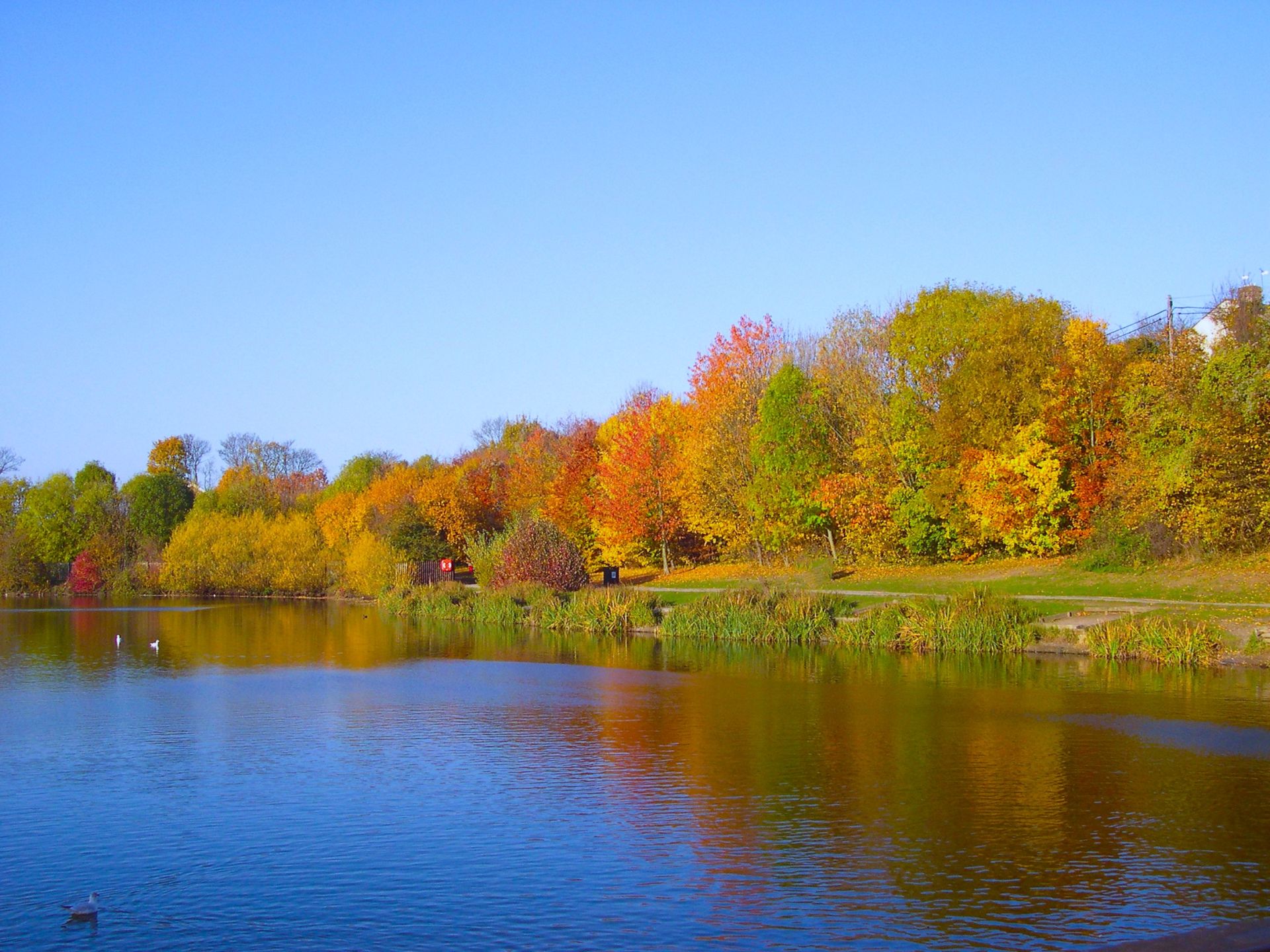 Walk In the Park: Capstone Country Park
